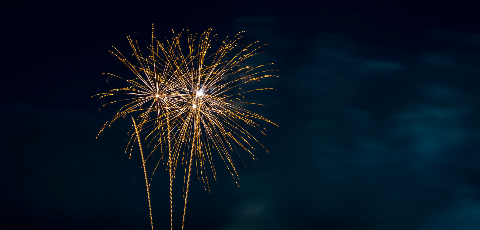 LTS - Video Solutions for Security Professionals