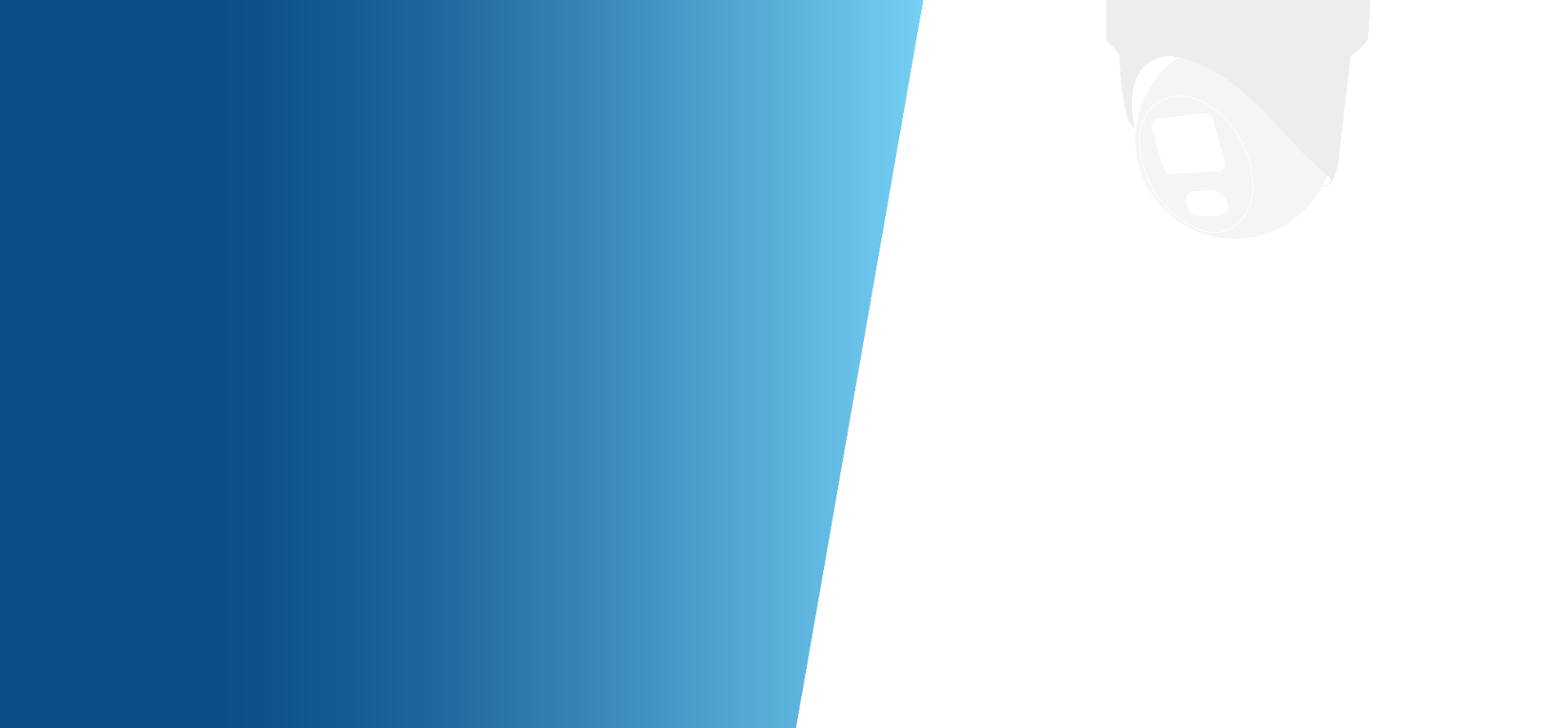 LTS - Video Solutions for Security Professionals