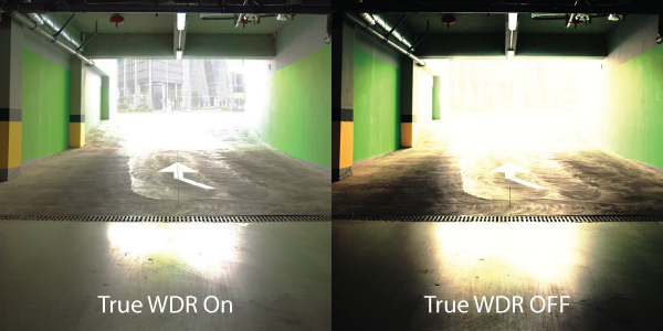 Index of /pub/upload/graphics/promo